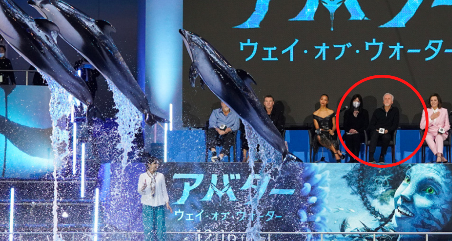 ‘Vegan’ Filmmaker James Cameron, attends dolphin show to promote Avatar ...